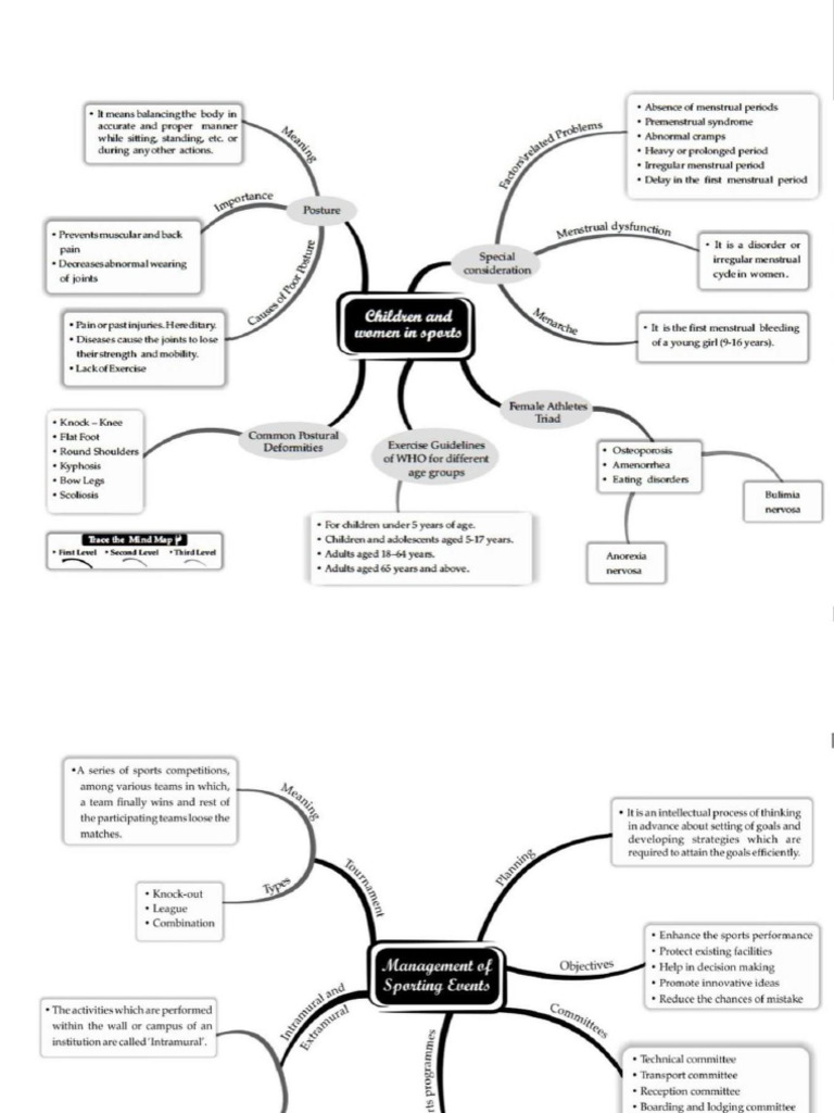 Physical Education Mind Map Overview | PDF | Food Energy | Skeletal Muscle