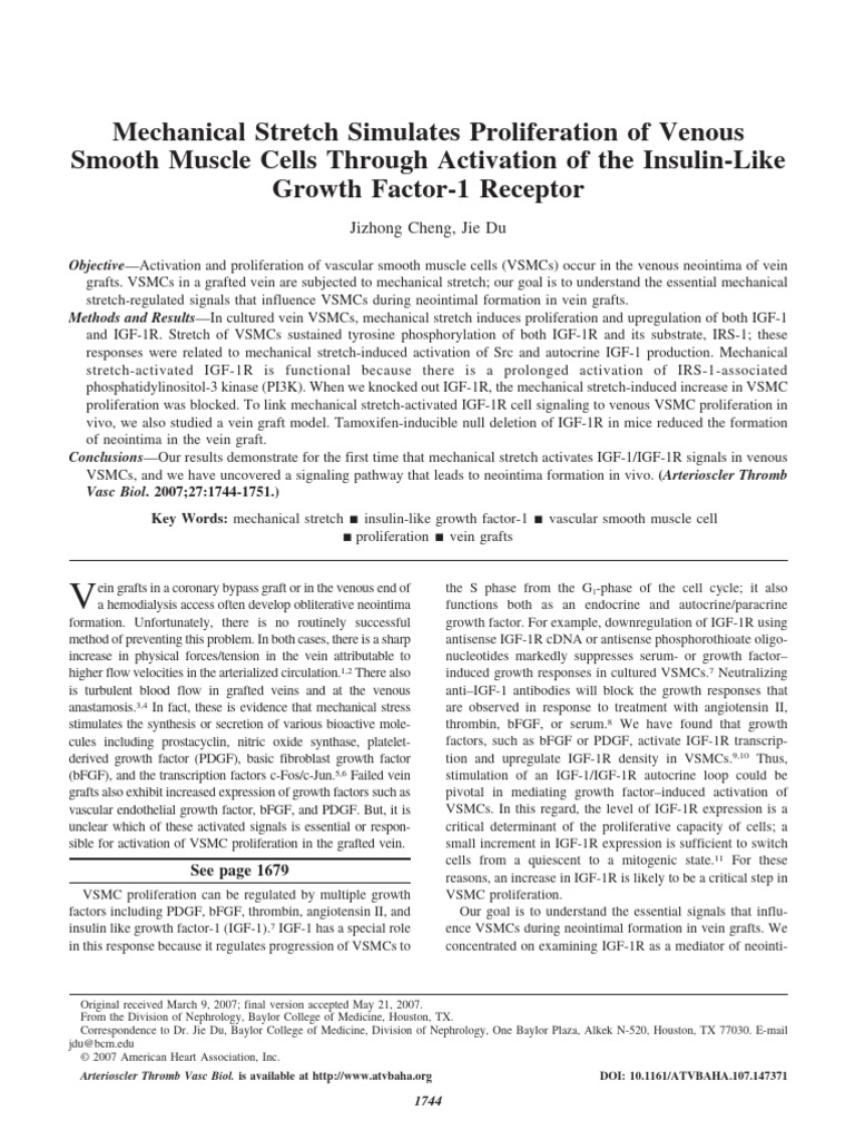 Mechanical Stretch Activates IGF-1R in VSMCs | PDF | Insulin Like ...