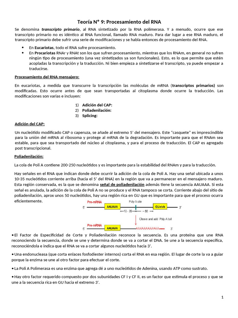 9 - Procesamiento Del ARN | PDF | Messenger Rna | Rna Splicing