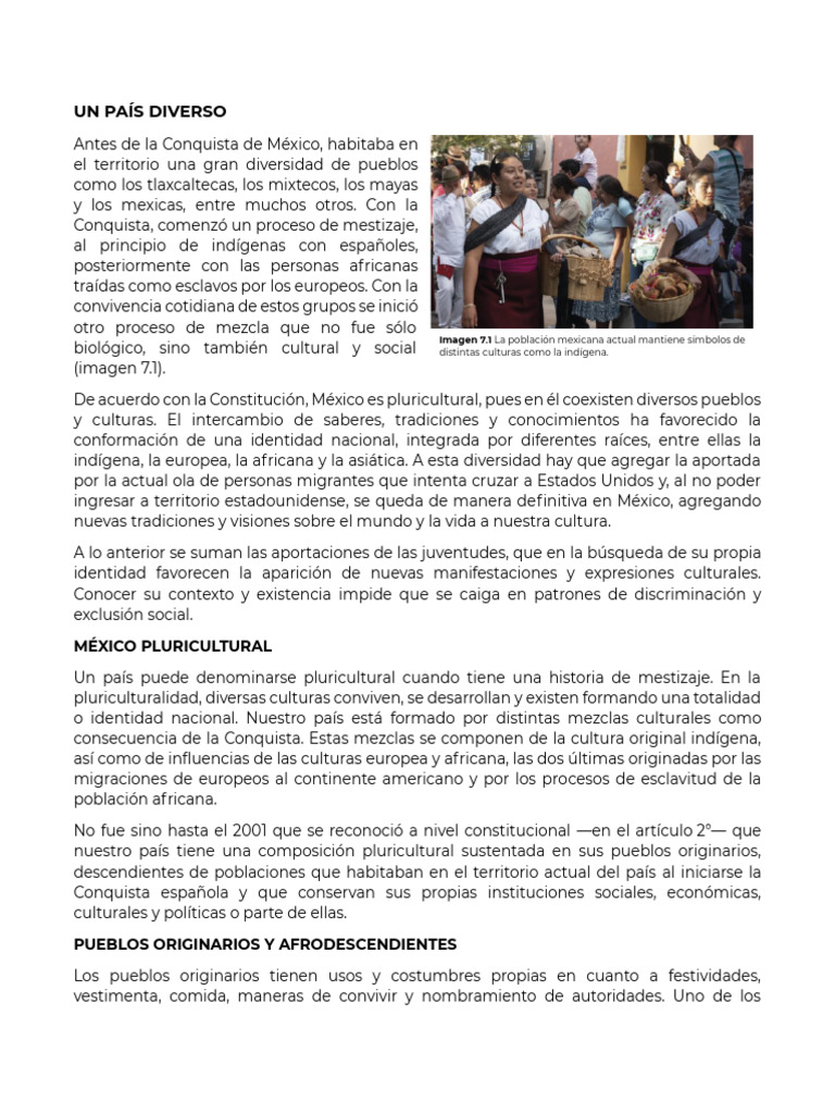 Diversidad Cultural en Mexico | PDF | México | Pueblos Indígenas de las ...