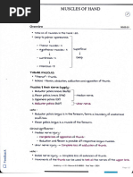 The Muscles of The Hand - Thenar - Hypothenar - TeachMeAnatomy | PDF ...