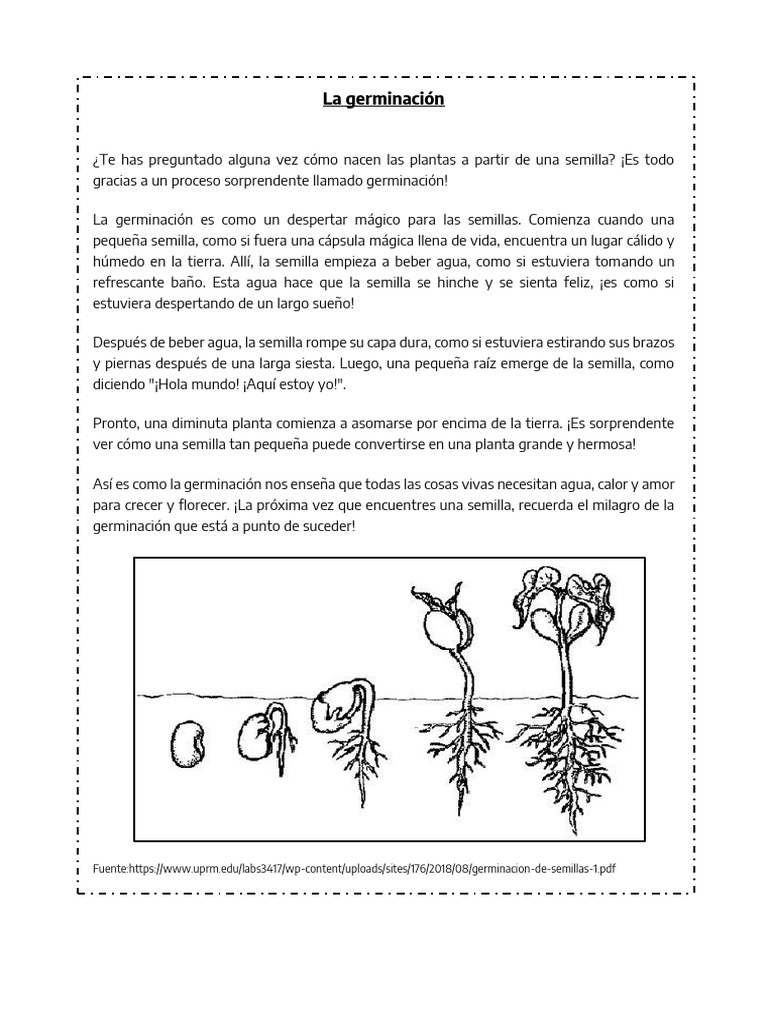 U3 S7 A11 La Germinacin | PDF
