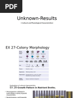 Citrobacter freundii Biochemical Profile | PDF | Microbiology