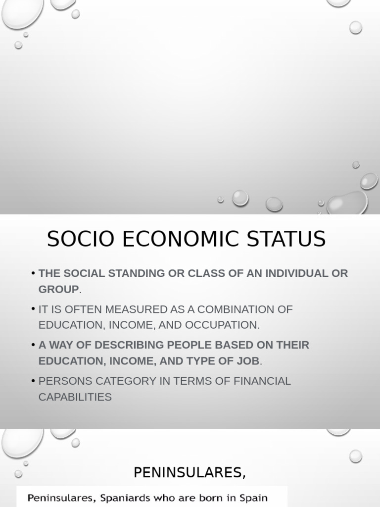 Socio Economic Status | PDF | Socioeconomic Status | Poverty
