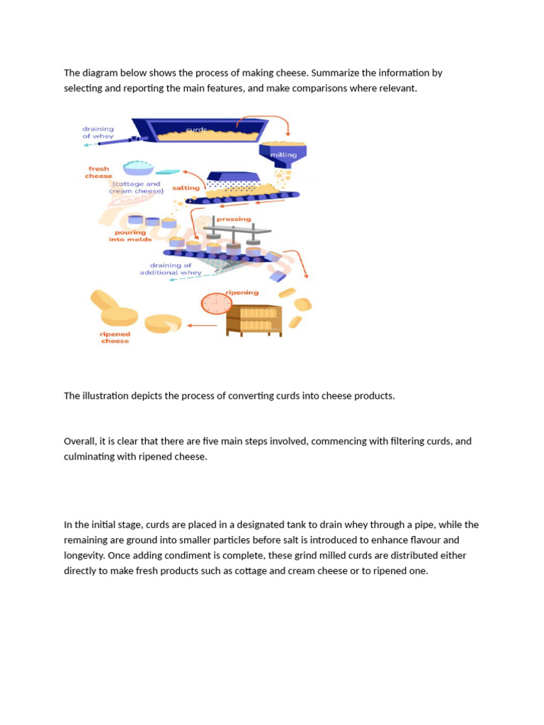 Cheese Production Process Explained | PDF | Cheese | Dairy