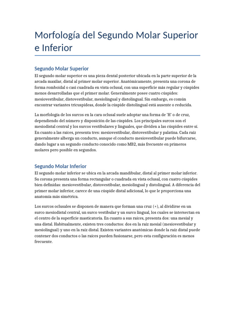 Morfología Segundo Molar | PDF