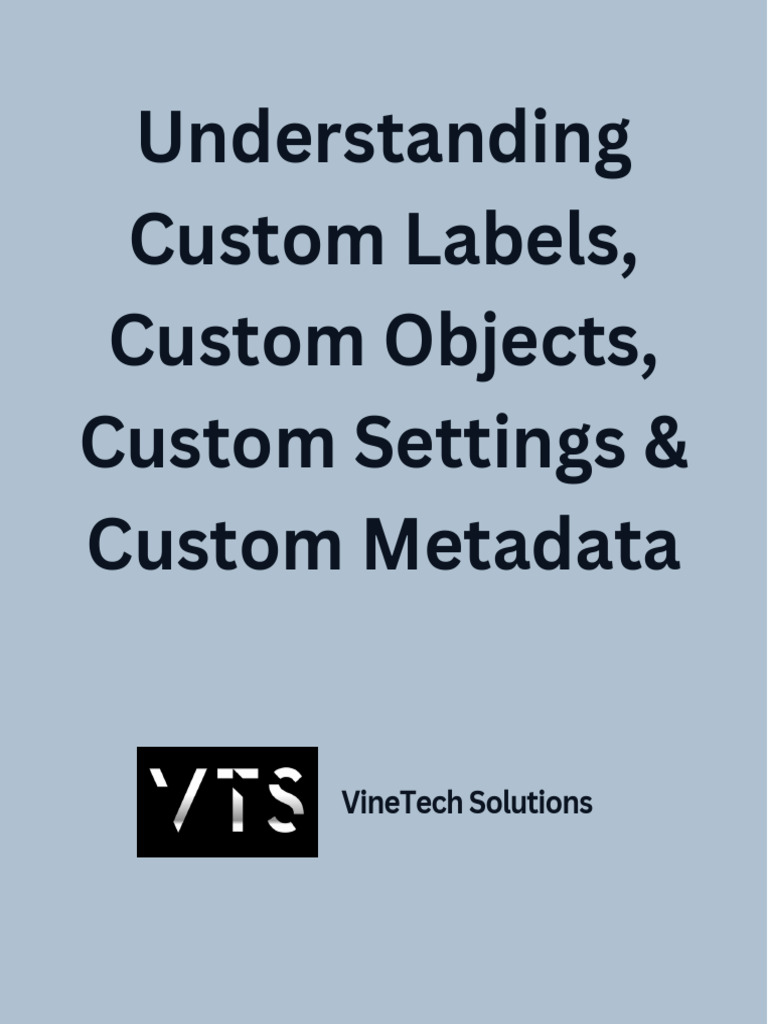 Difference Between Custom Label Custom Object Custom Setting And Custom