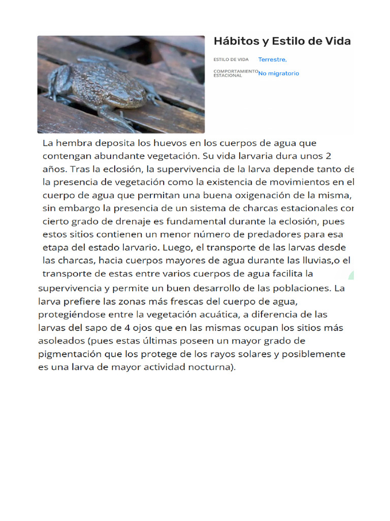 Anuro Chileno 2 | PDF