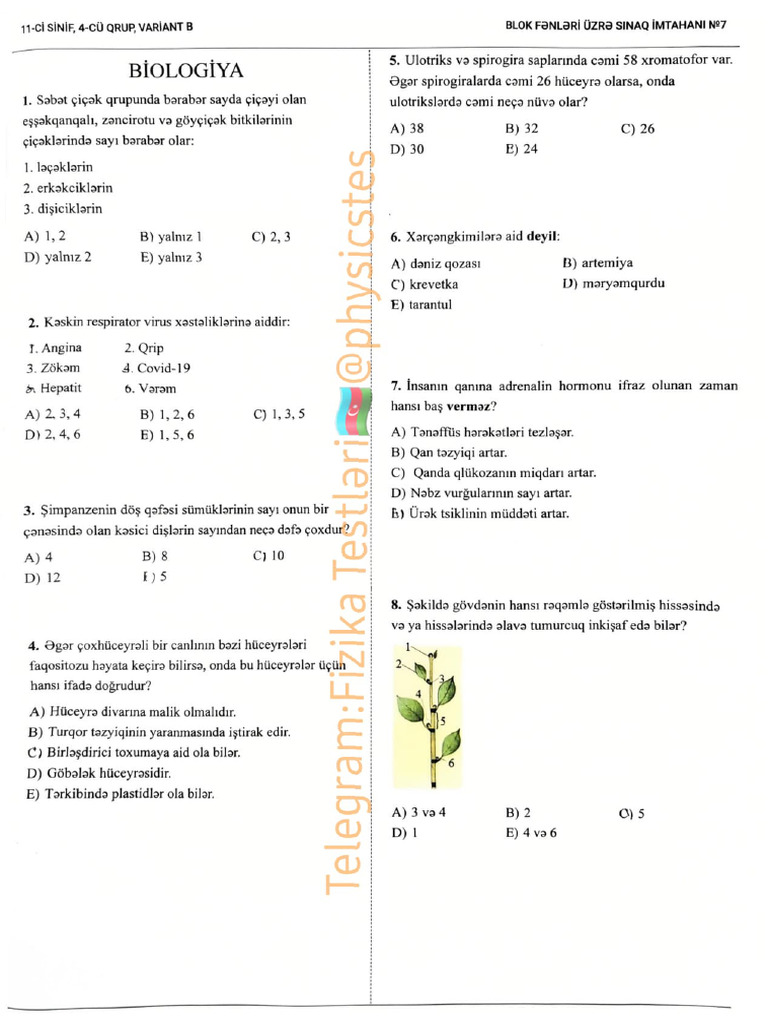 Otk 4 Qrup 11 Sinif 29 Iyun 2025 | PDF