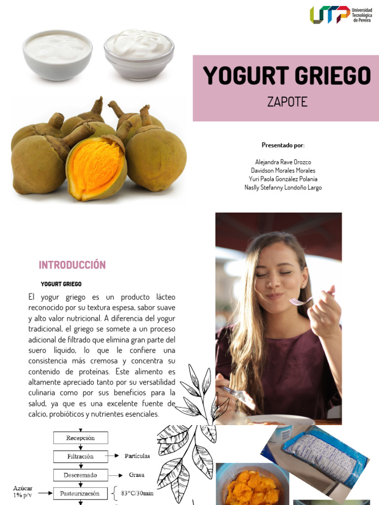 Yogurt Zapote - 20250522 - 202519 - 0000 | PDF | Yogur | Lechería