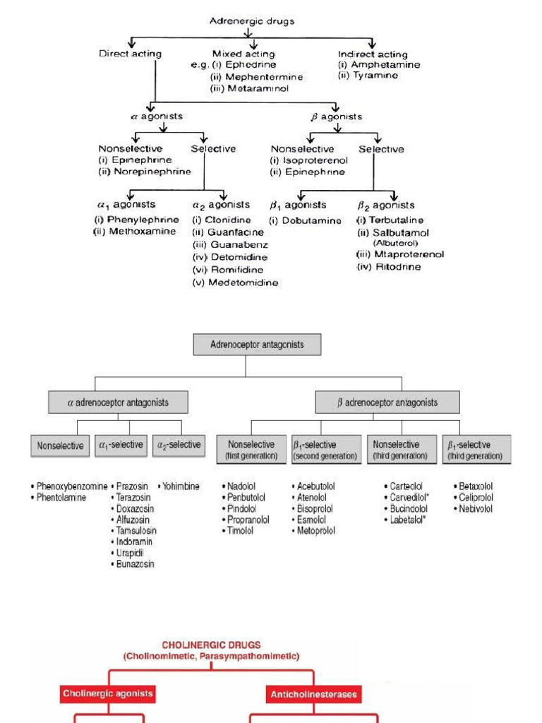 Classifications | PDF