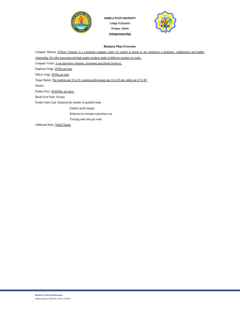 Business Plan Overview NEW | PDF