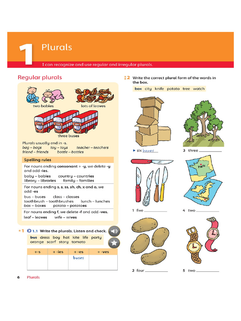 Plural and Articles 2 | PDF | Plural | Noun