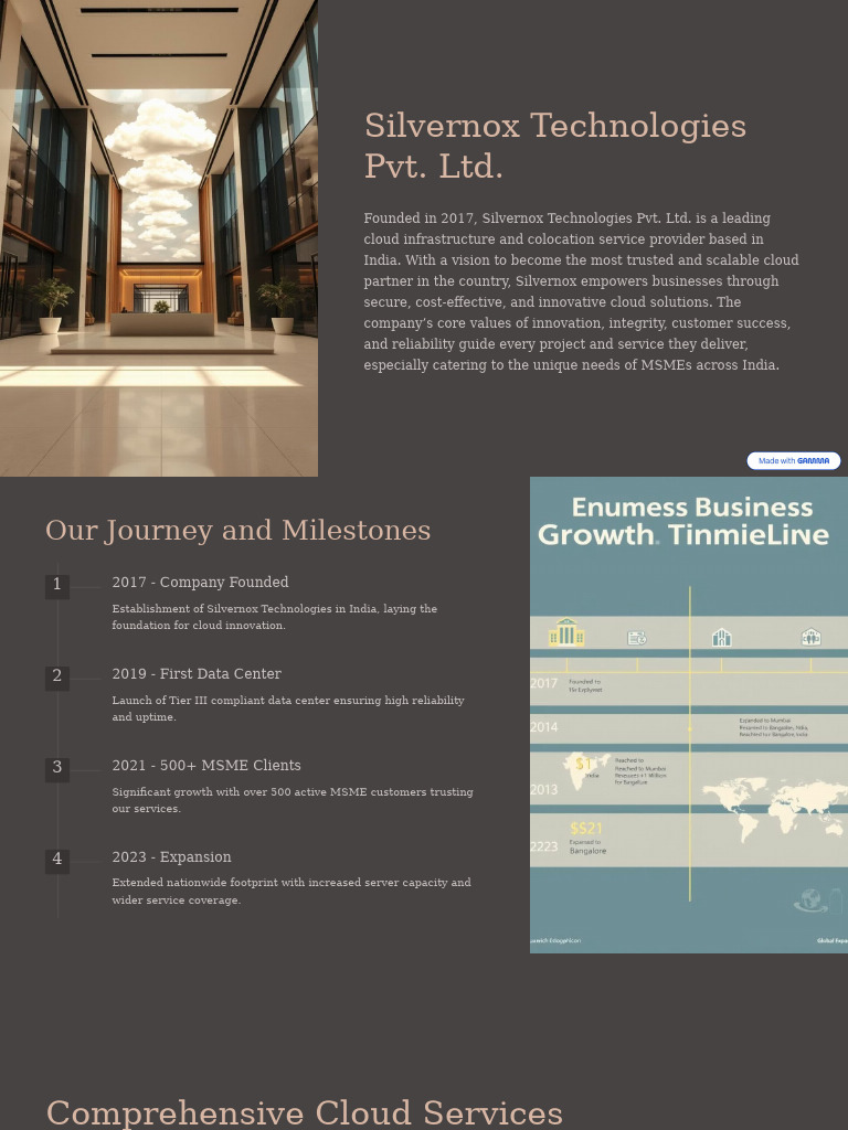 Silvernox: Cloud Solutions for MSMEs | PDF | Cloud Computing | Scalability