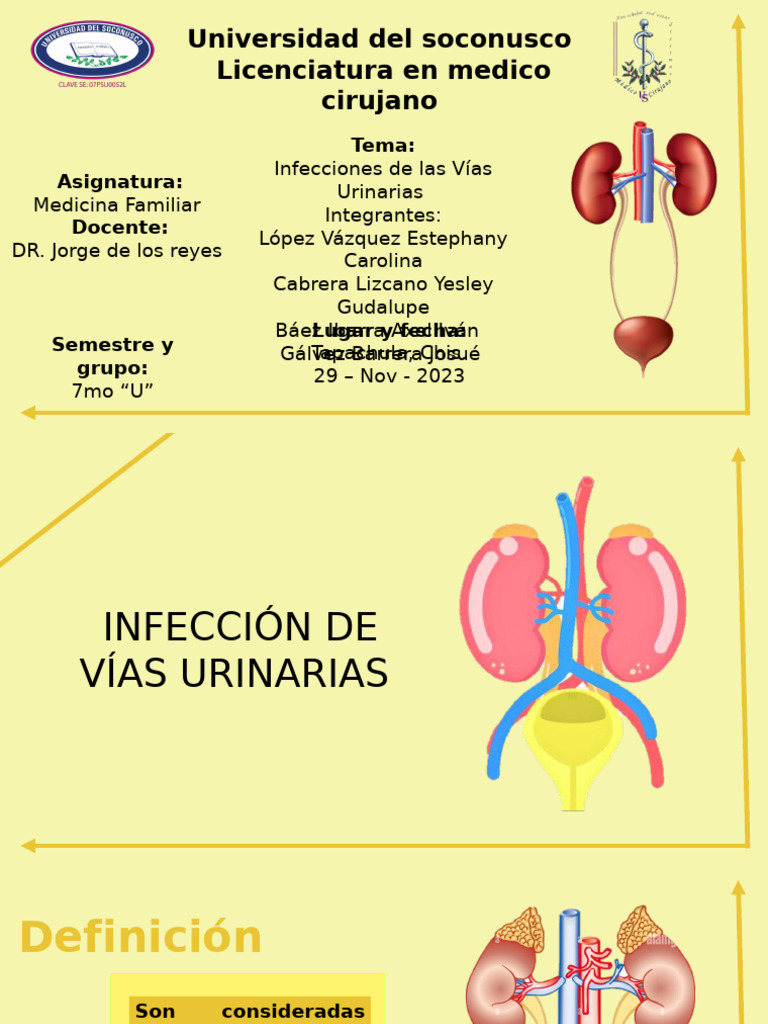 Ivu 1 | PDF | Infección del tracto urinario | Enfermedades y trastornos ...
