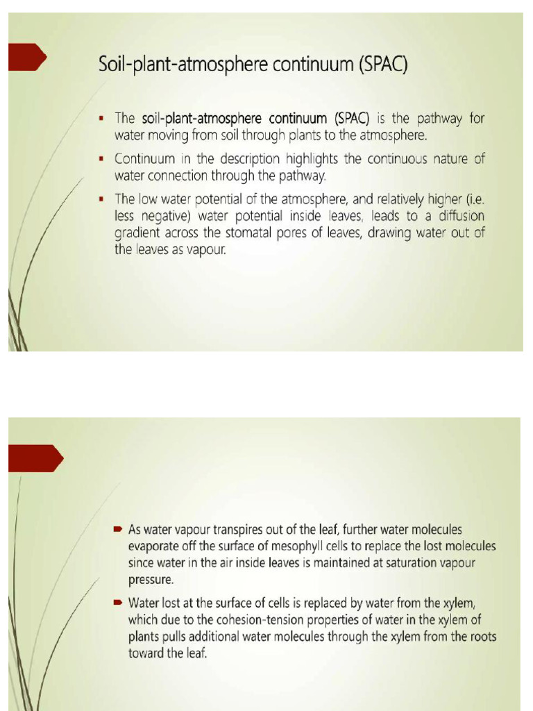 Study On SPAC in Botany | PDF