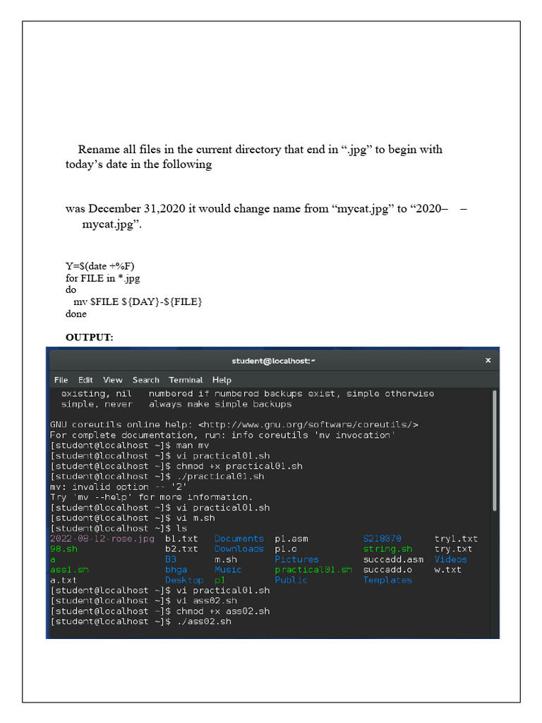 OS Practical 01 | PDF
