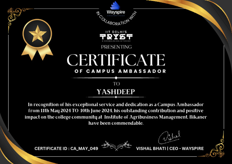 CA Certificate Yashdeep | PDF