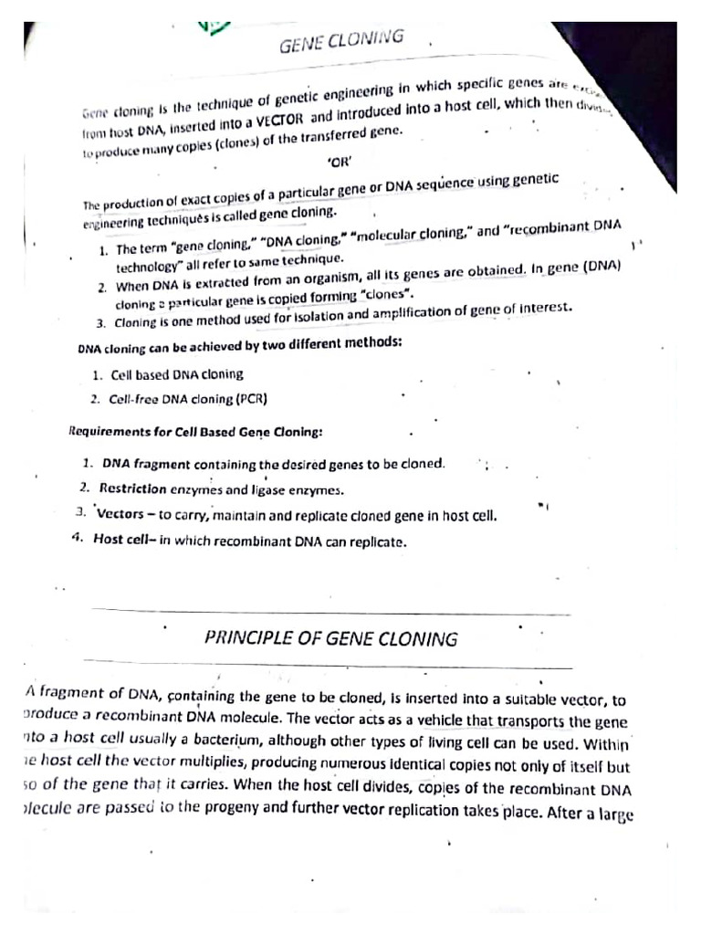 Gene Cloning | PDF