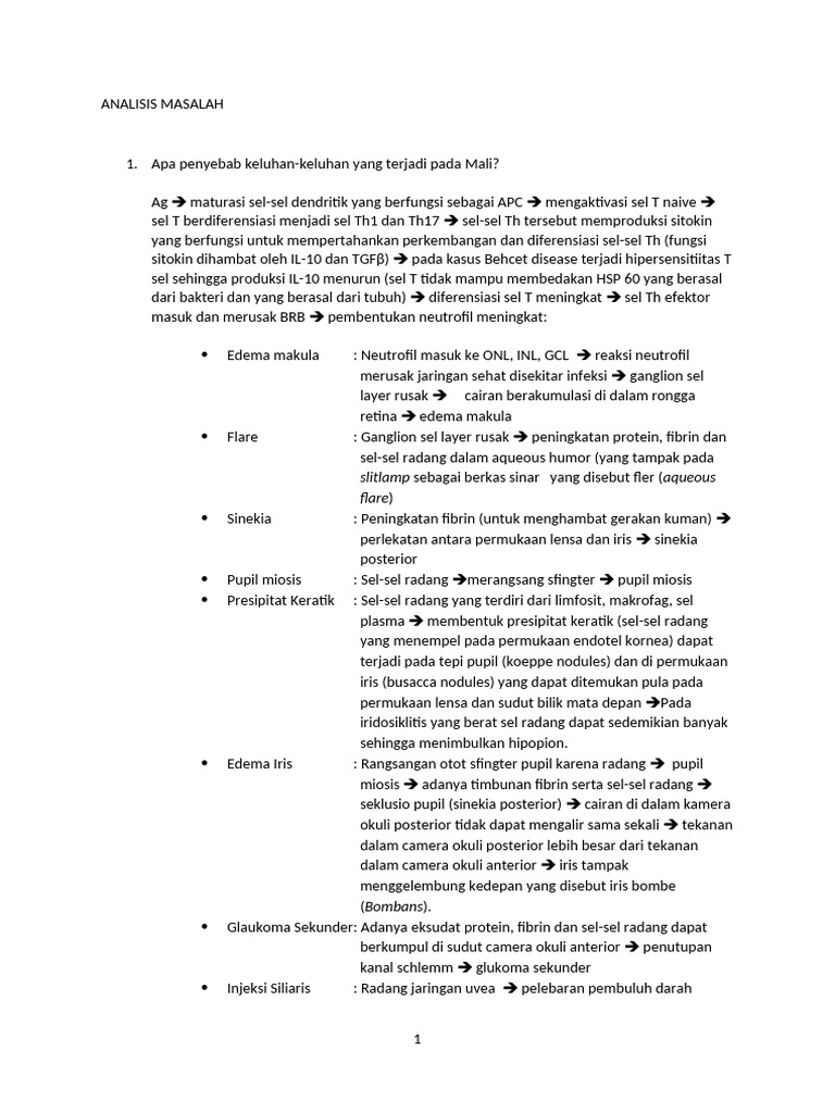 Uveitis pada Penyakit Behcet | PDF