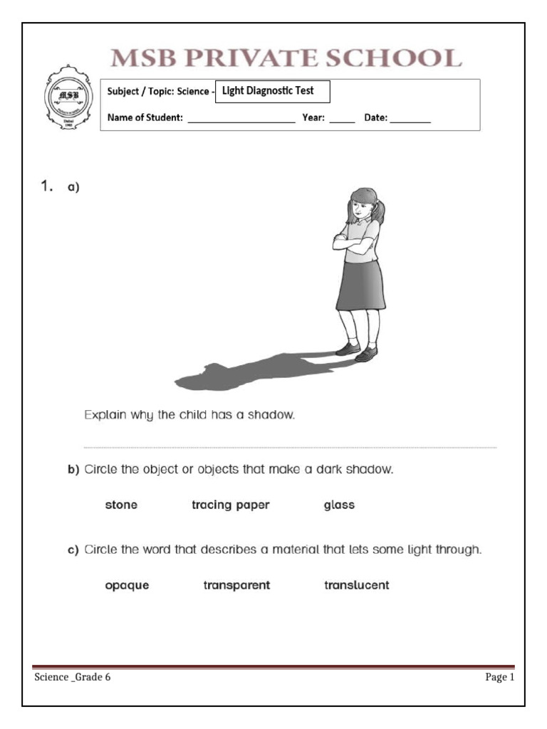 Diagnostic Test Light Yr - 6 | PDF