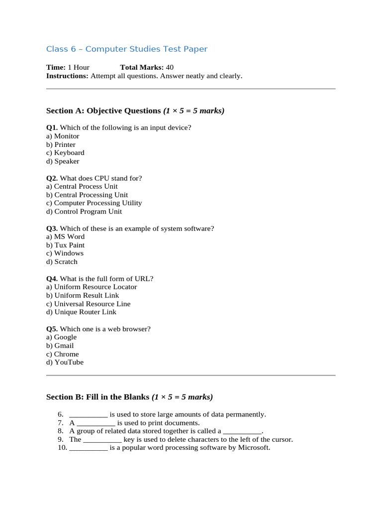 Class 6 Computer Test Paper Term 1 | PDF
