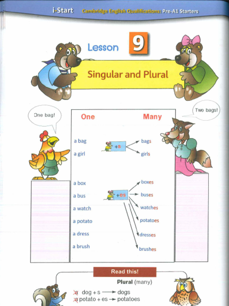 Singular Plural | PDF