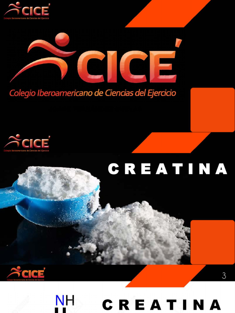 6 Creatina | PDF