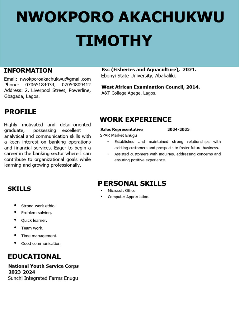 Nwokporo Akachukwu Timothy CV | PDF