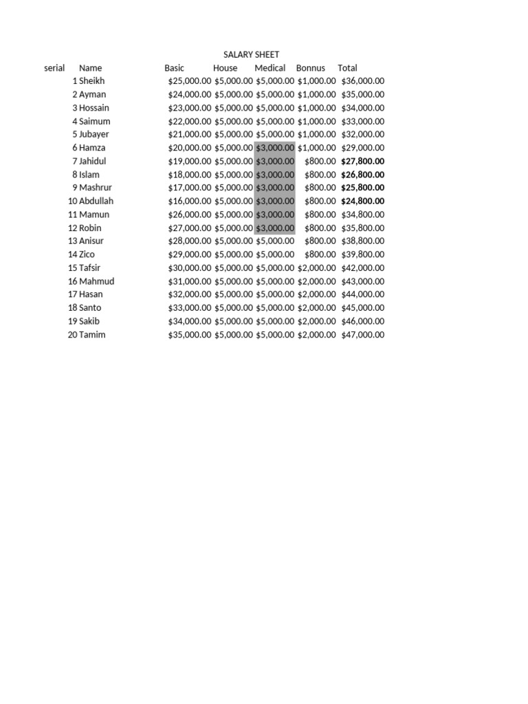 Salary Sheet | PDF