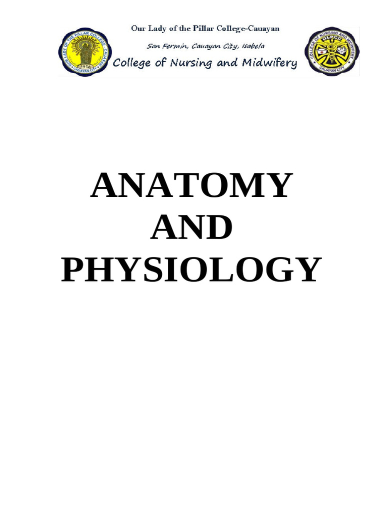 ANATOMY AND PHYSIOLOGY Ob Normal | PDF | Menstrual Cycle | Labia