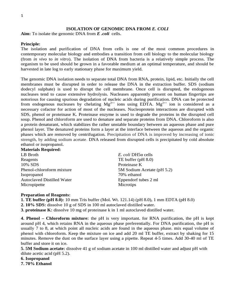 1.DNA Isolation From Bacteria | PDF | Dna | Proteins