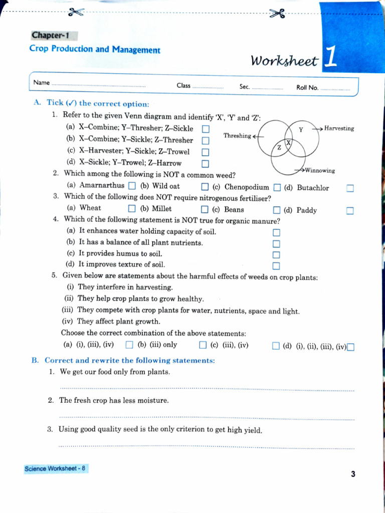 Crop Productionand Management (Pullout Worksheets) | PDF | Cereals | Wheat