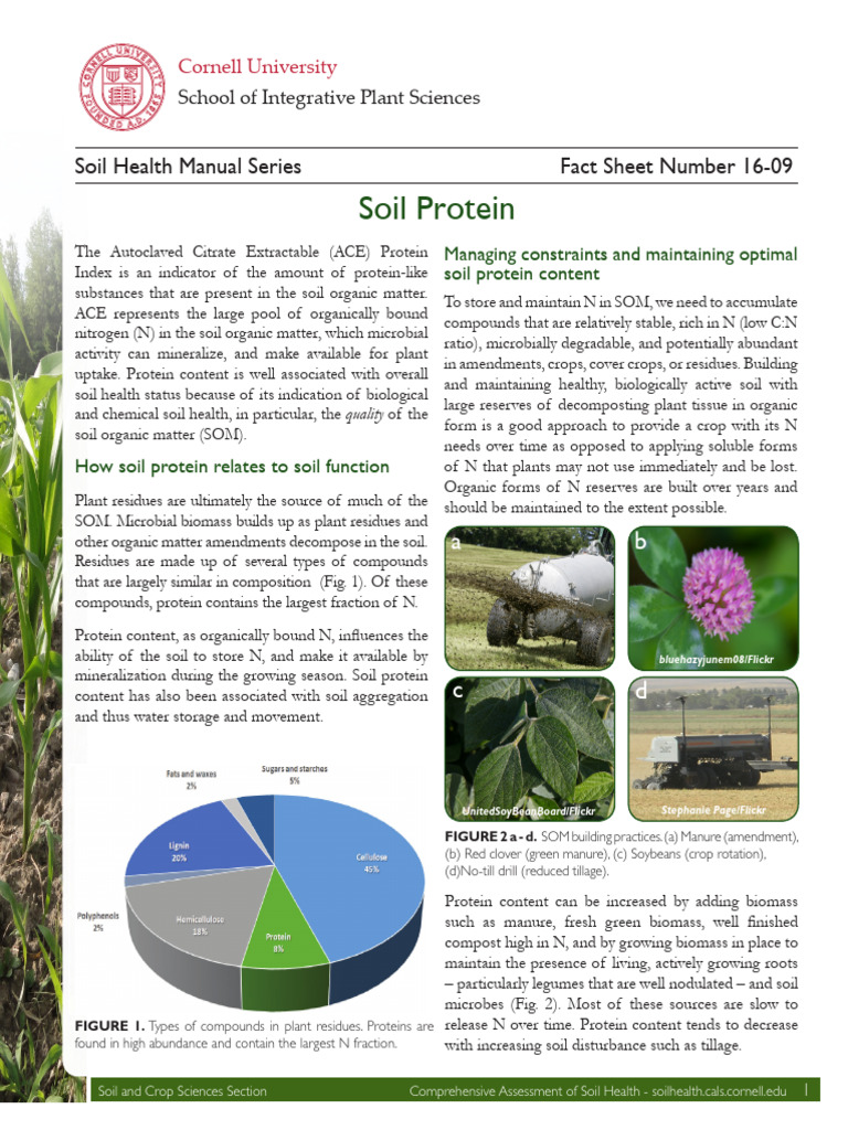 09 Protein | PDF | Soil | Organic Matter