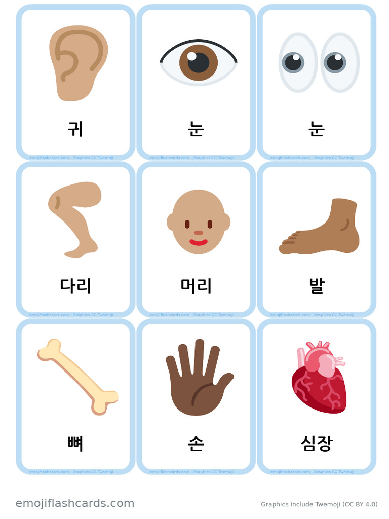 Korean Parts of The Body Small A4 Flashcards | PDF