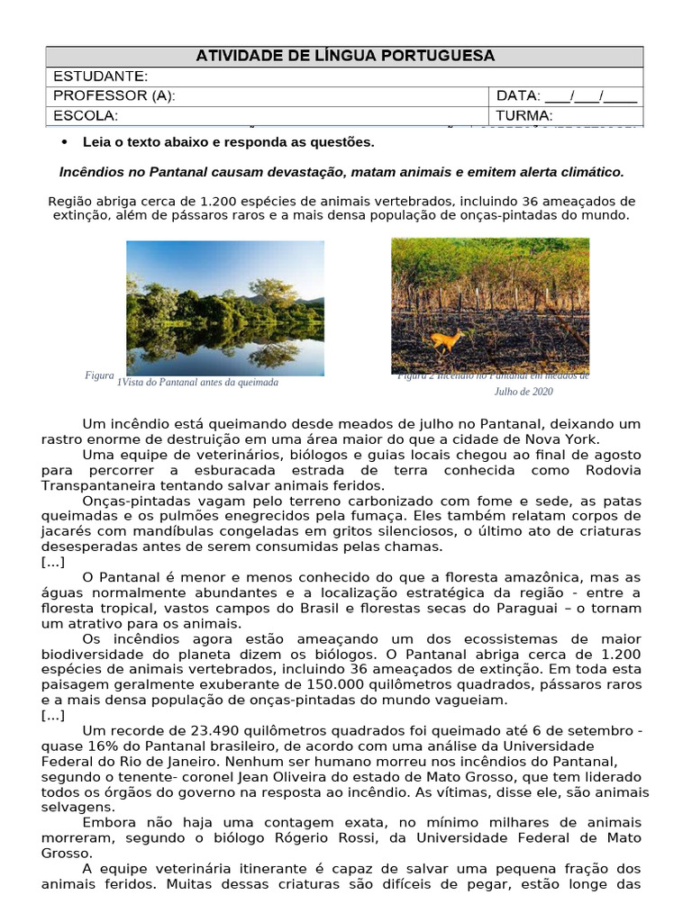 Atividade - Reportagem - Fund - 1 Bi | PDF | Jaguar | Narrativa