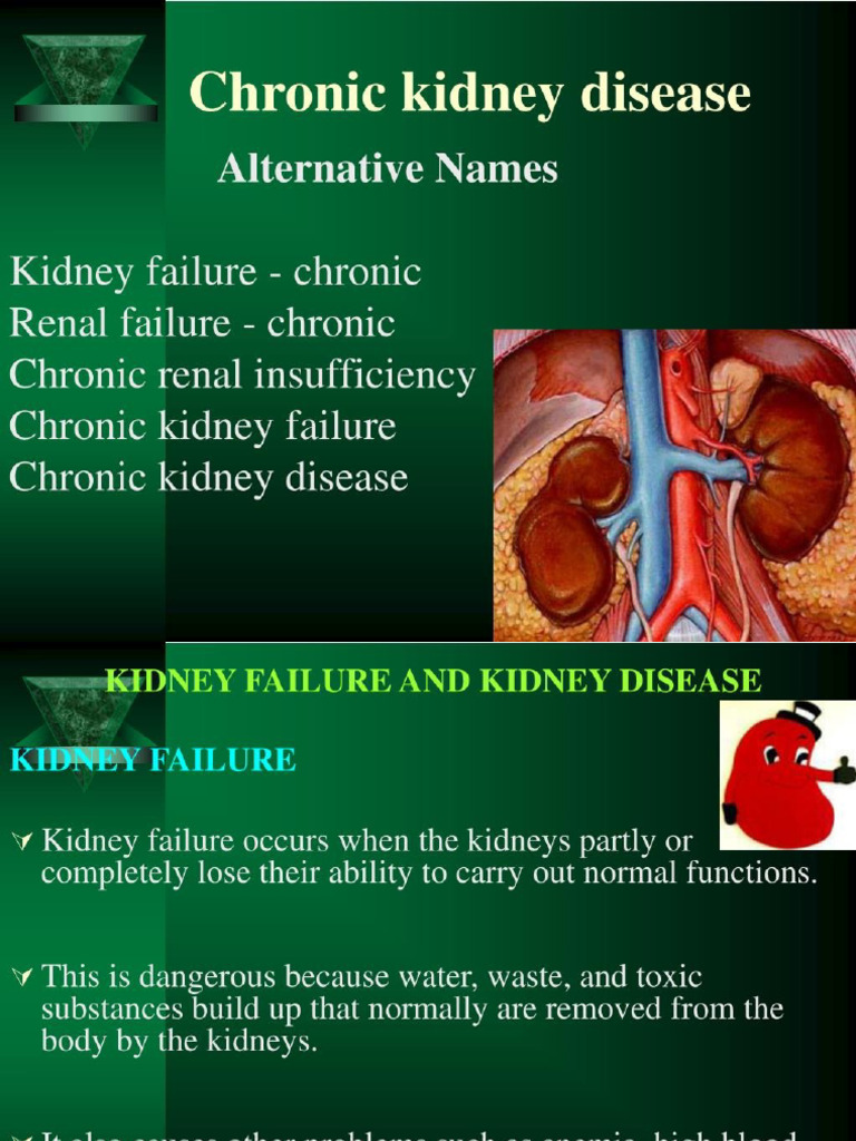 Kidney | PDF