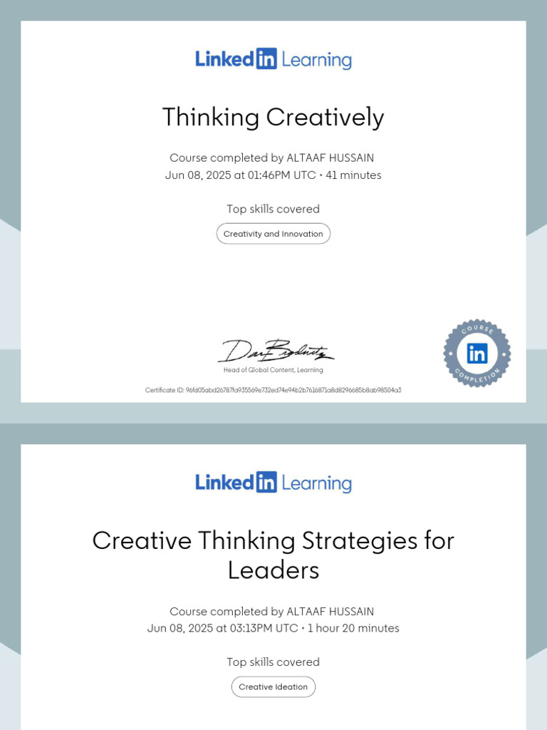 24BBA10729 Altaaf Hussain Design Thinking and Creativity For Innovation ...