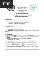 Go, Grow and Glow Foods Worksheet | PDF