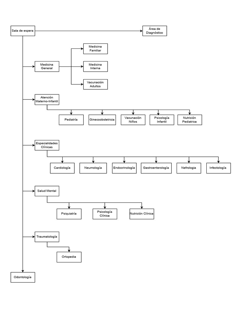 Consulta Externa - Drawio | PDF
