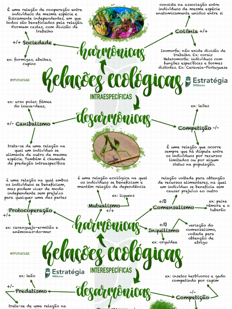 Mapas Biologia - Parte 1 | PDF