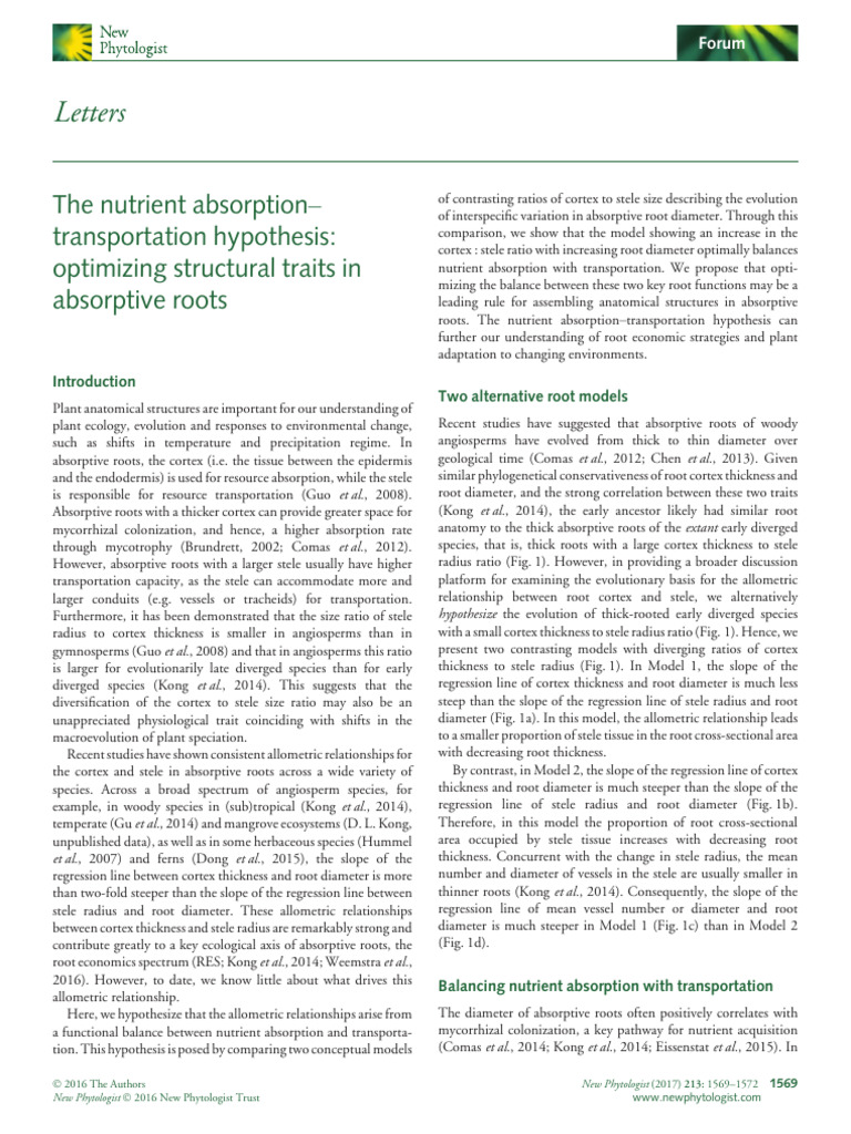 The Nutrient Absorption-Transportation Hypothesis Optimizing Structural ...