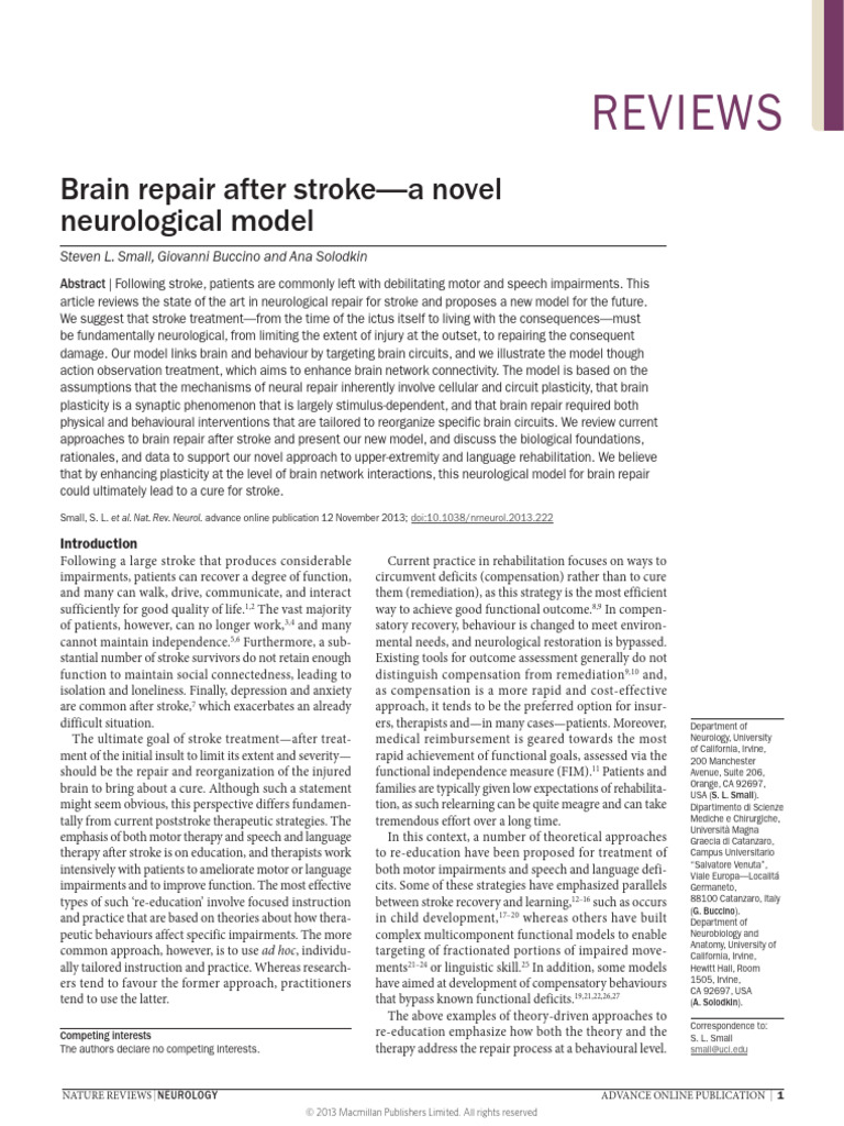 Novel Stroke Brain Repair Model | PDF | Parietal Lobe | Aphasia