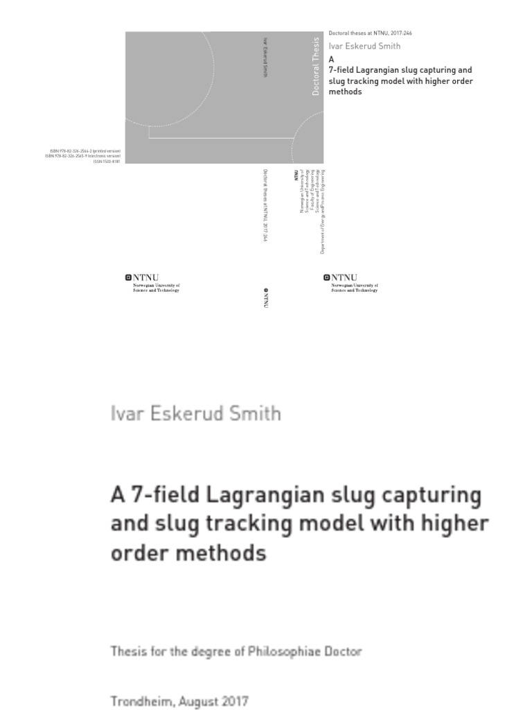 A 7-Field Lagrangian Slug Capturing and Slug Tracking Model With Higher Order Methods | PDF ...