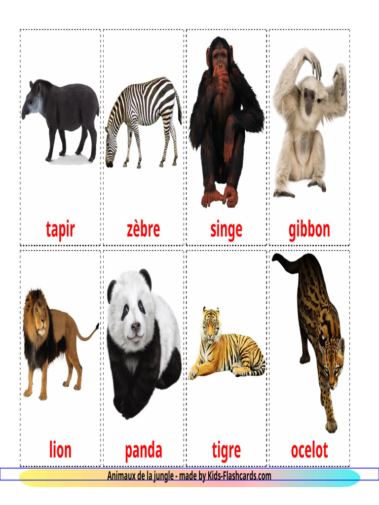 Animaux de La Jungle 8 A4 | PDF