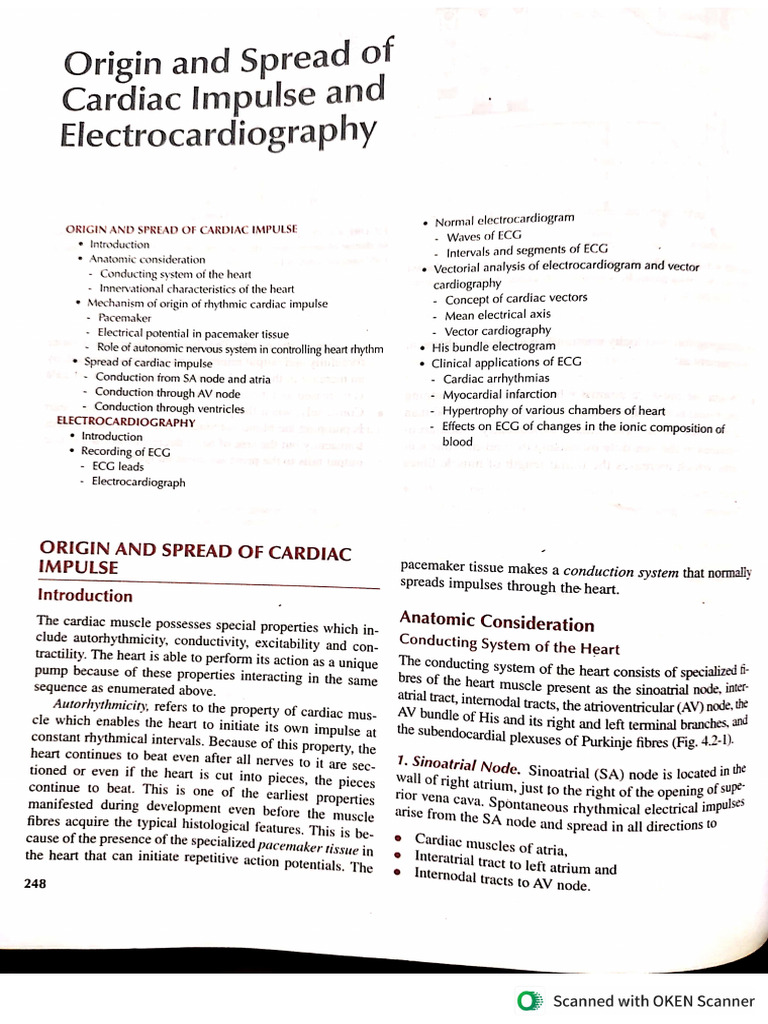 Cardiac Impulse & ECG | PDF