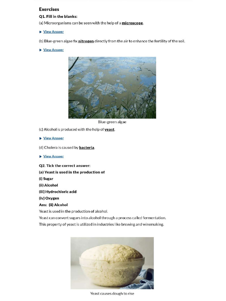 Chapter-2 Microorganisms Friendly or Foe | PDF