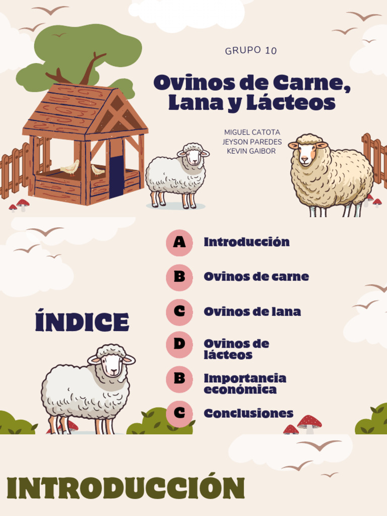 OVINOS | PDF | Oveja | Carne