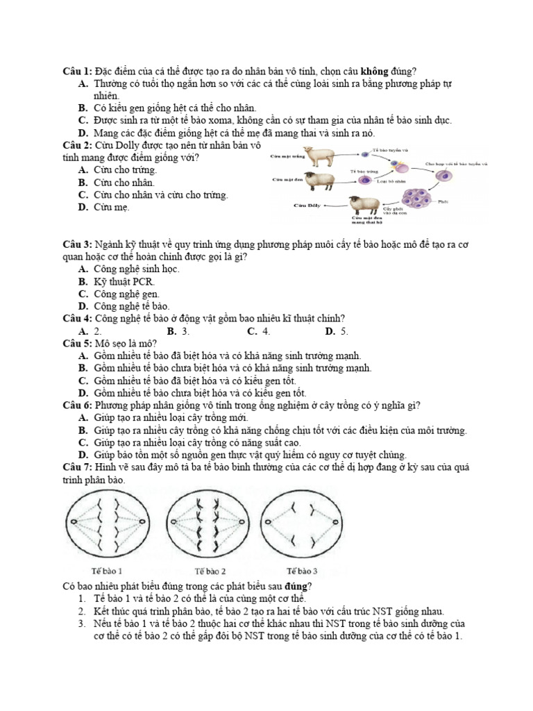 20250222-De 5 CNTB - Copy 4427d | PDF