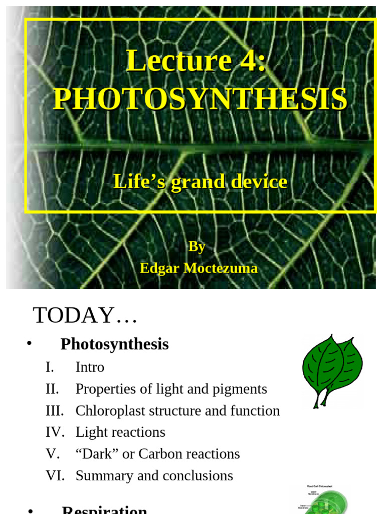 Understanding Photosynthesis Process | PDF | Photosynthesis | Cellular ...